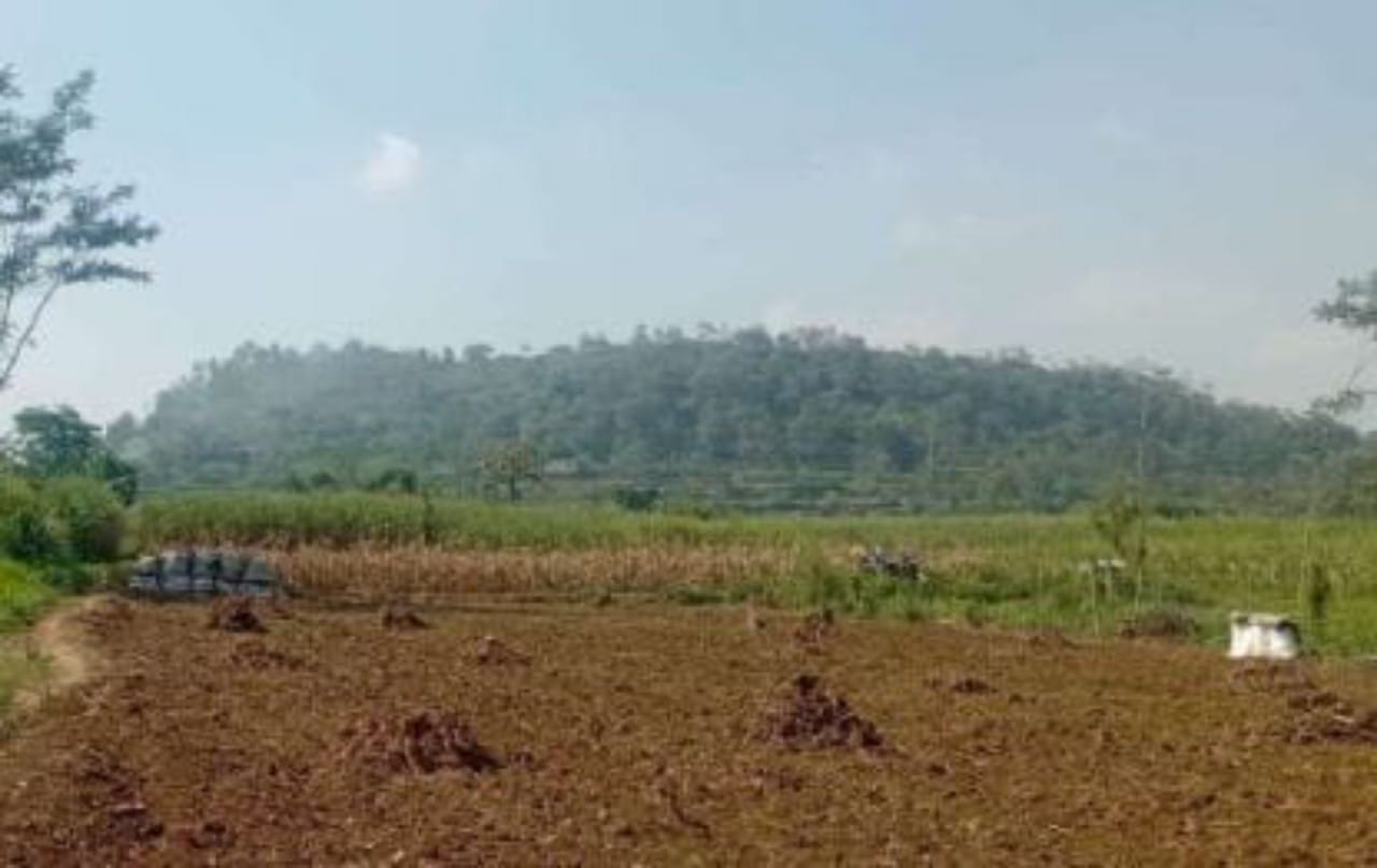 Misteri Gunung Mayat Berubah Jadi Gondo Mayit - mediacahayabaru.id